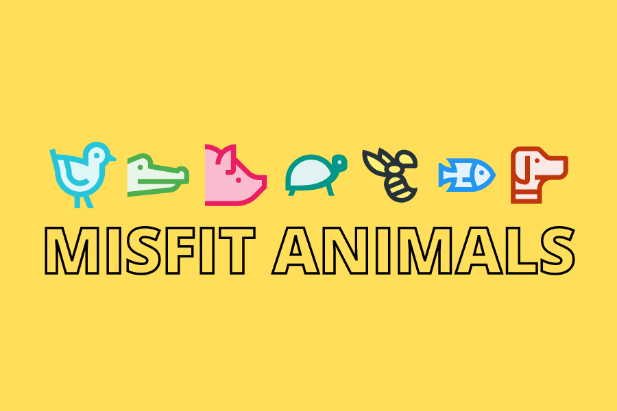 Wolves | Misfit Animals