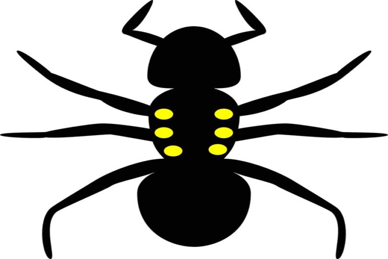 How Do Ants Breathe And Do They Have Lungs? | Misfit Animals