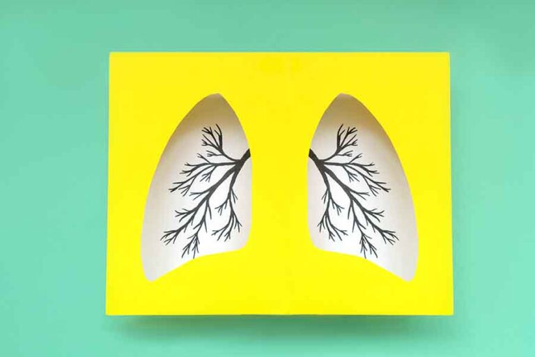 How Do Ants Breathe And Do They Have Lungs? | Misfit Animals