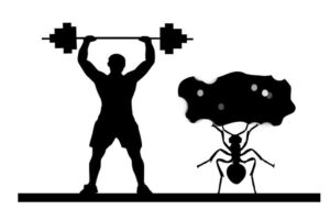 How Strong Are Ants? Incredible Facts About Ant Strength