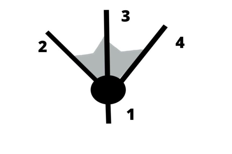 What Are Duck Feet Called? (Ducks Webbed Feet)