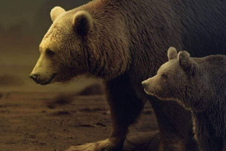 List Of Two-Legged Animals That Will Amaze You (12 Examples)