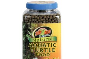 What Do Painted Turtles Eat? (Guide To Painted Turtle Diet)