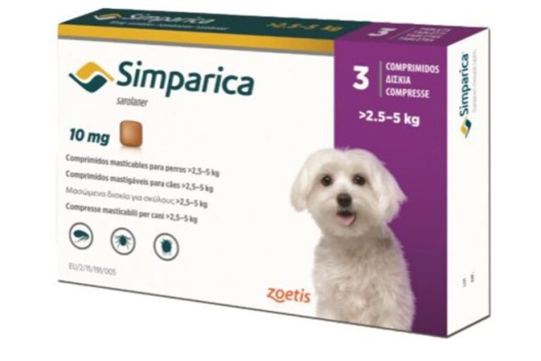 How To Choose The Safest Flea Treatment For Dogs