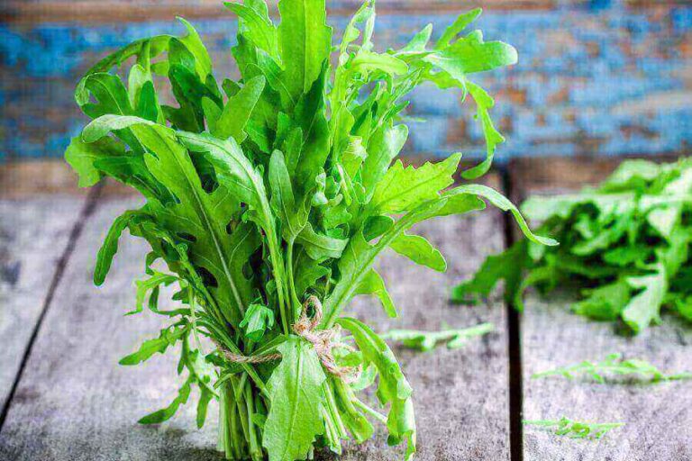 Safe Fruits And Vegetables For Rats: The Only Guide You Need