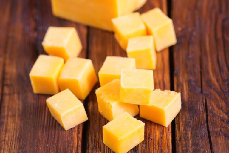 Can Rats Eat Cheese & Do They Like It? | Misfit Animals