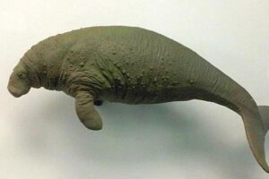 List Of 14 Extinct Animals And Why They Went Extinct