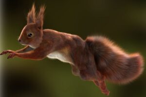 Can Squirrels Die From Falling? (How Squirrels Fall)